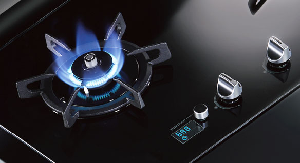 Gas Stove