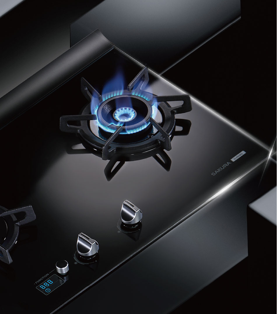 Gas Stove